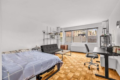 Alexandra Bellak - Real Estate Agent in New York, NY - Citysnap